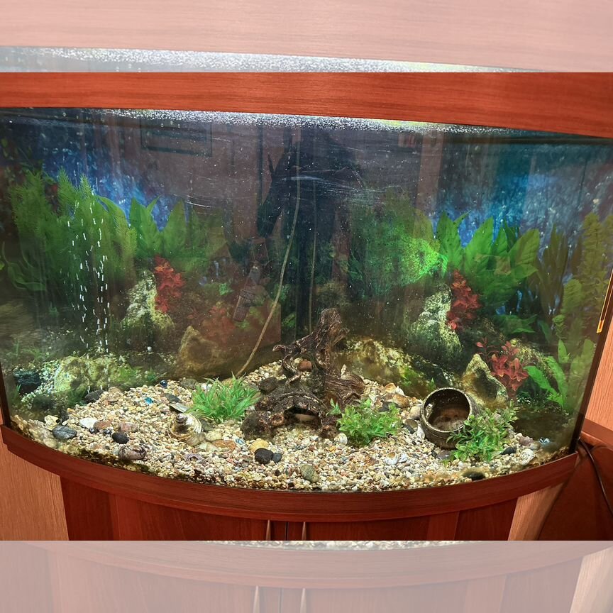 Аквариум 350 литров, угловой