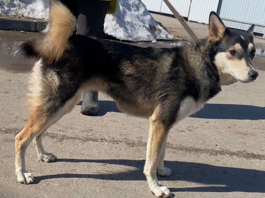 Юлька хочет домой