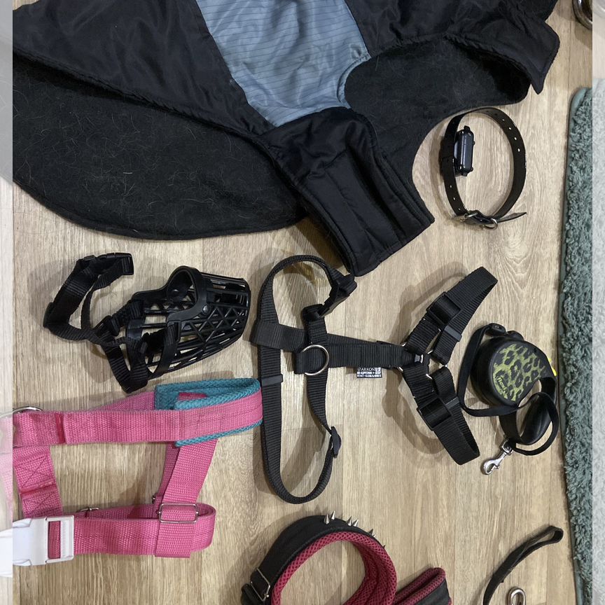 Вещи для животных