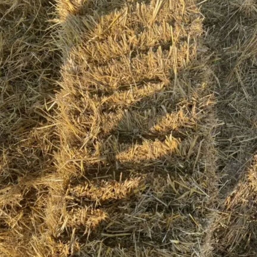 Солома в тюках