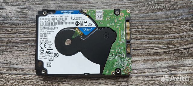 Жесткий диск 2тб Western Digital купить в Тюмени | Электроника | Авито