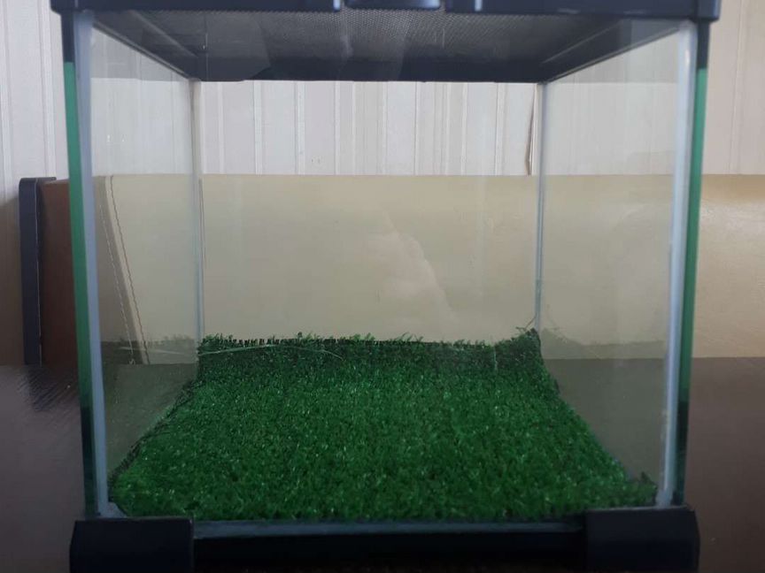 Террариум для рептилий бу