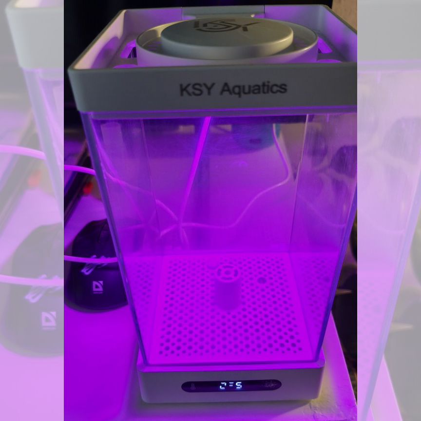 Аквариум для рыбки петушка