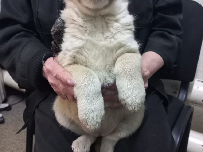 Милое солнышко, 2.5 мес