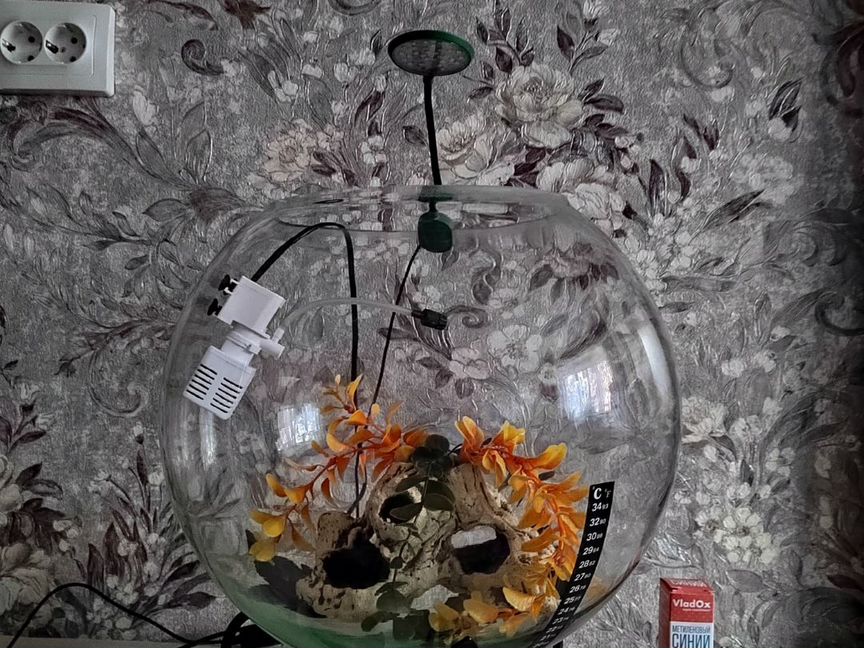 Аквариум на 20 литров