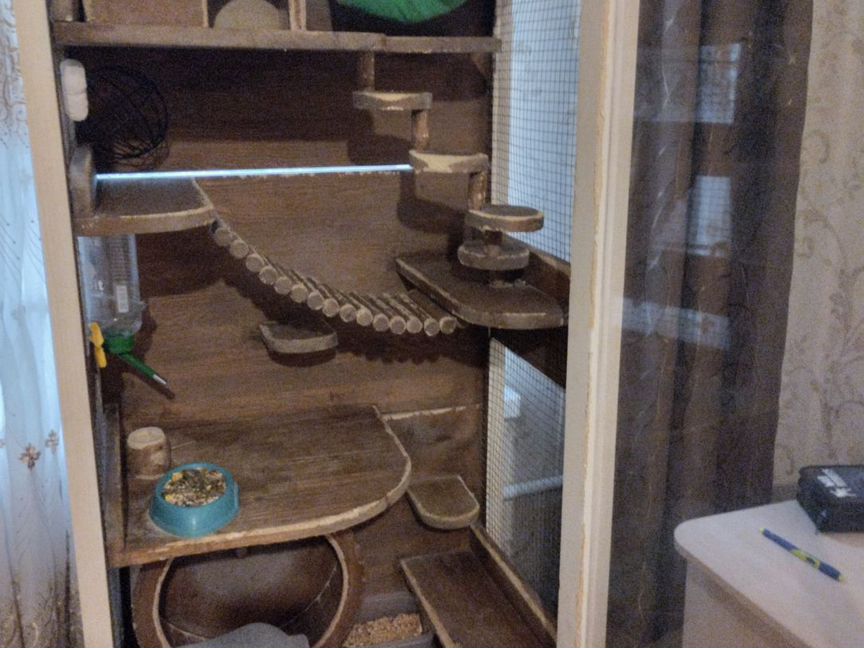 Витрина для шиншилл бу