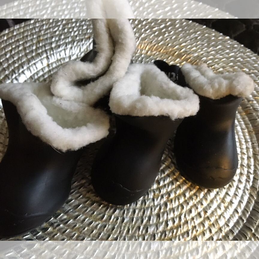 Ботинки для маленьких собак