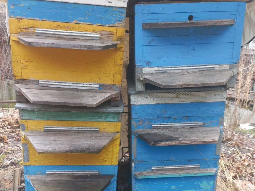 Ульи рут для пчел бу,рамки