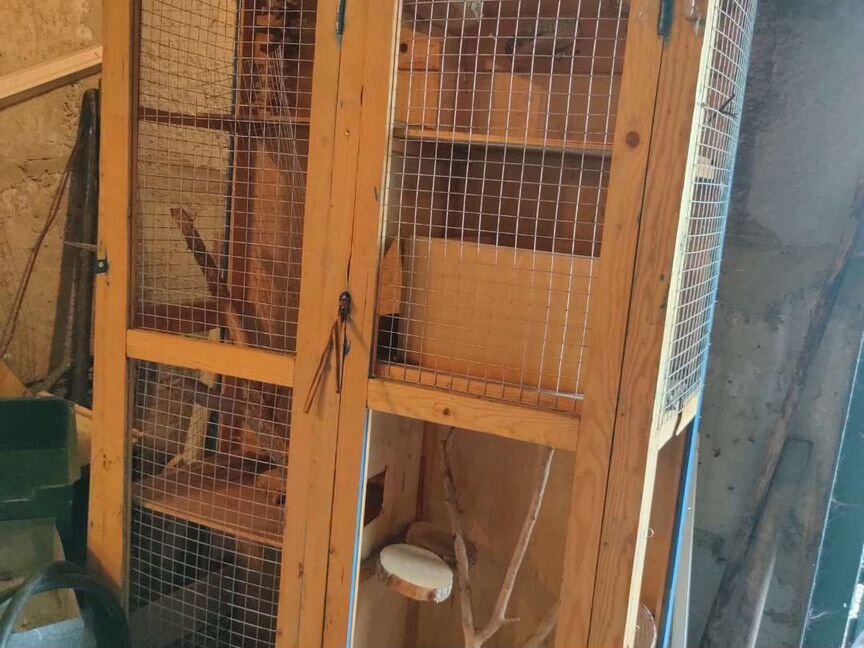 Витрина для шиншилл