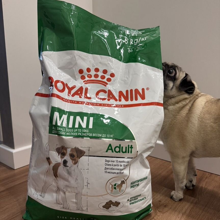 Корм для собак royal canin