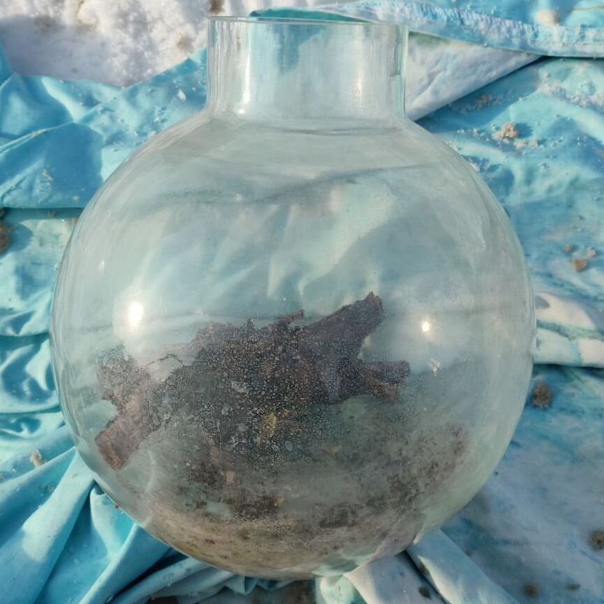 Террариум банка