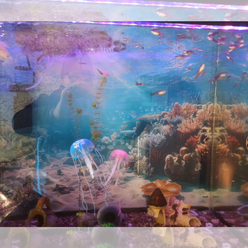 Аквариумные рыбки гуппи