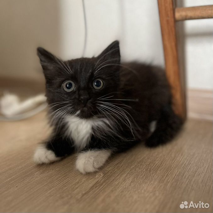 Малышка - девочка 2 месяца