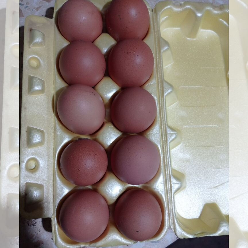 Яйцо куриное
