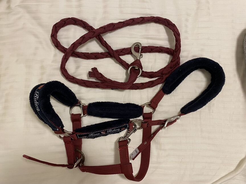 Недоуздок для лошади