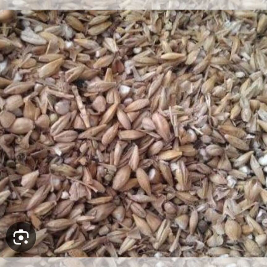 Зерноотходы