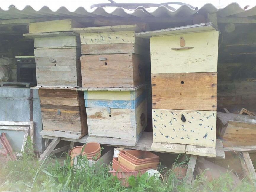 Улей для пчел