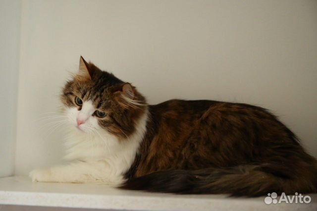 Себастьян очень ждет свою семью