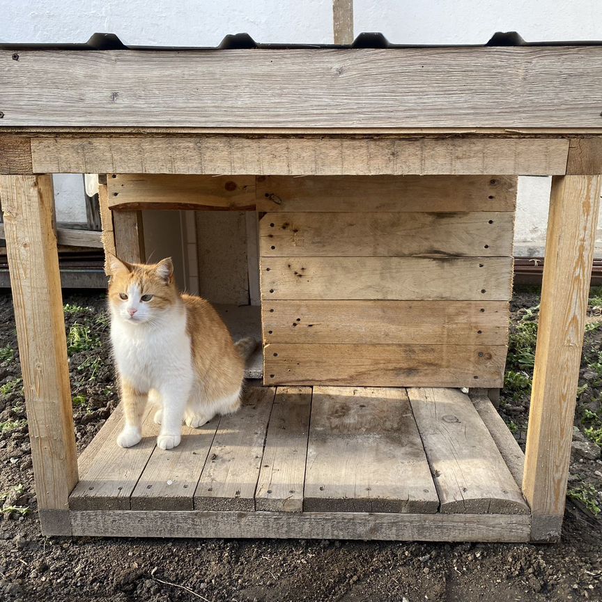 Будка для собаки