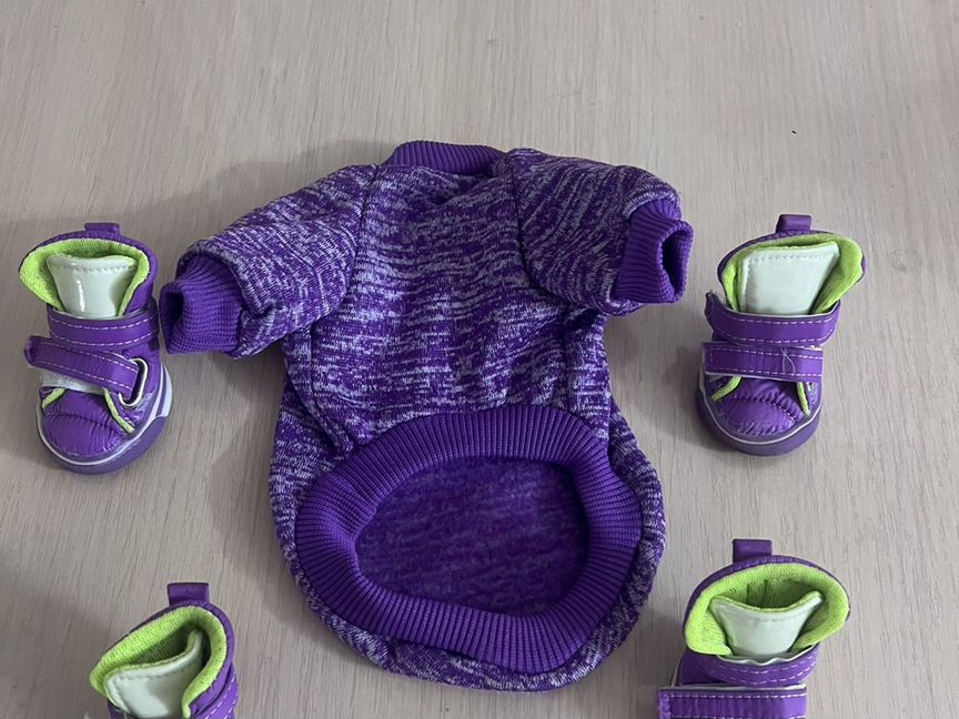 Обувь и свитерок для собаки мелкой породы