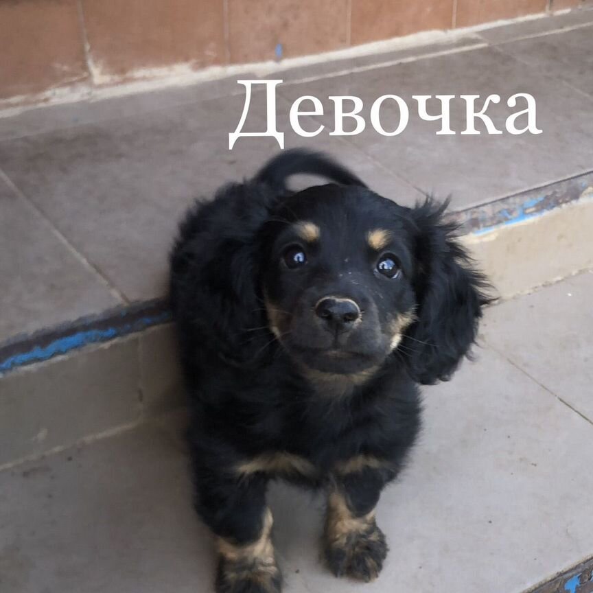 Малышка ищет своего человека