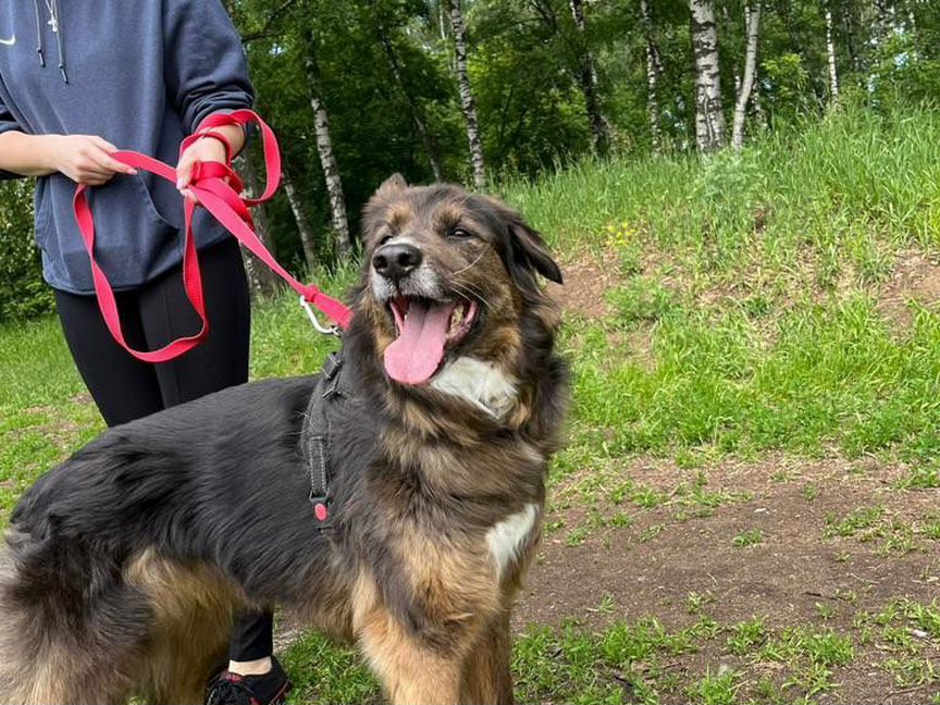 Ищем добрые ручки