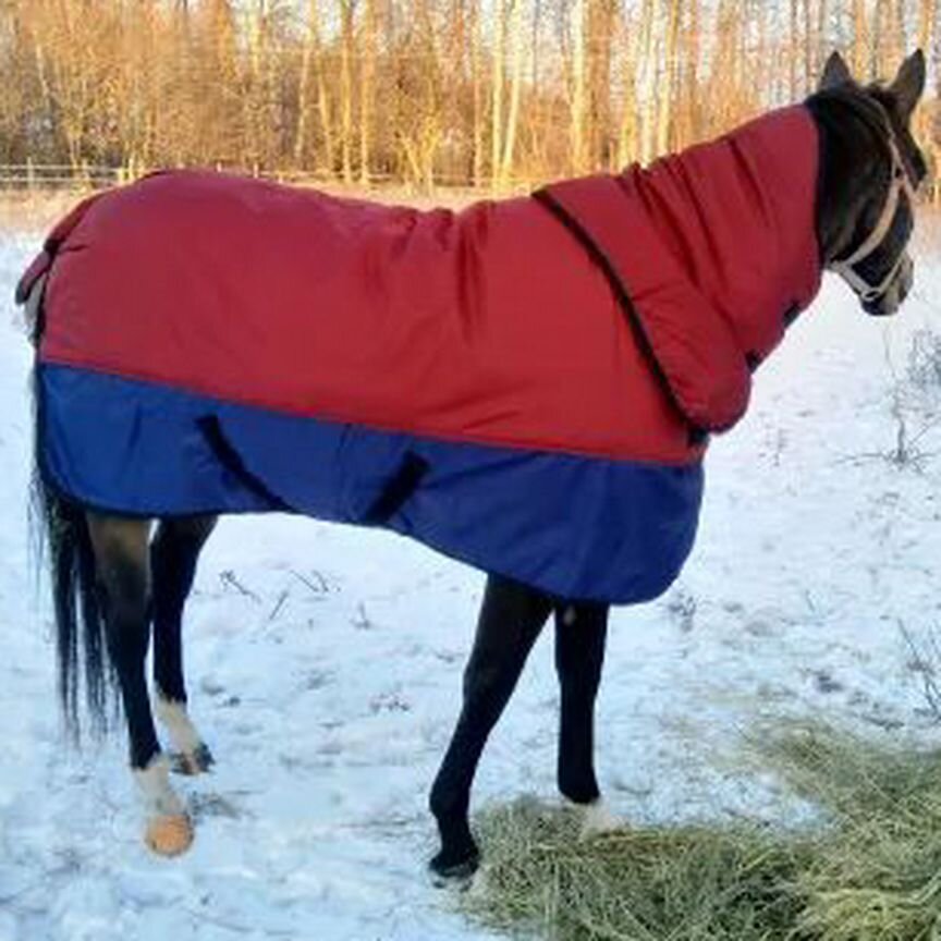 Недоуздок для телят, жеребят