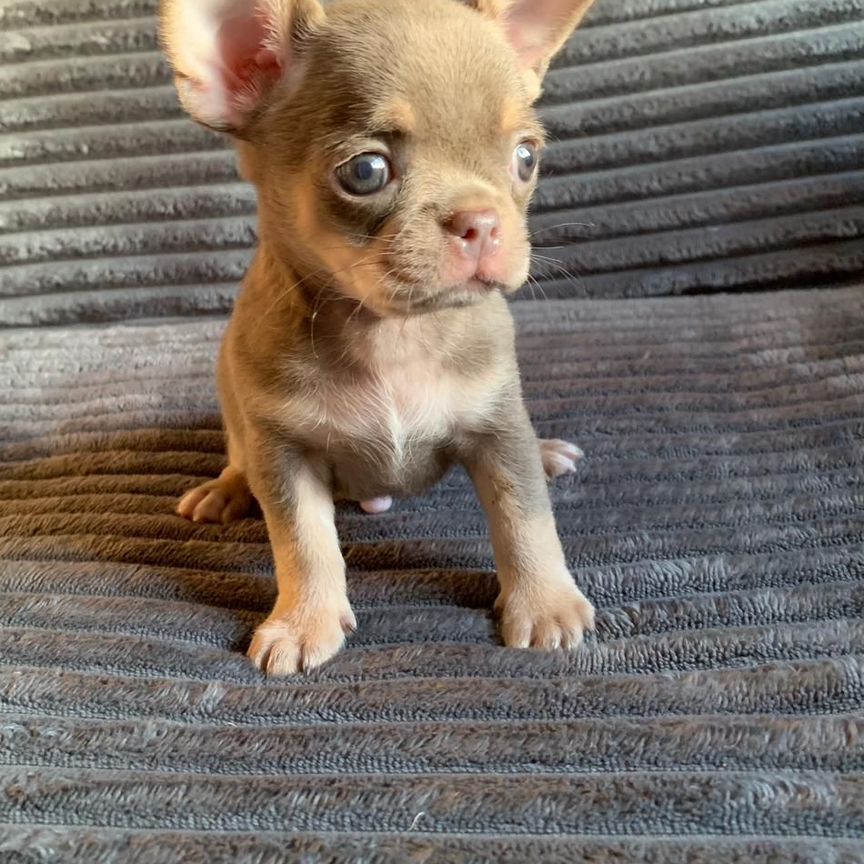 Яркий мальЧишка