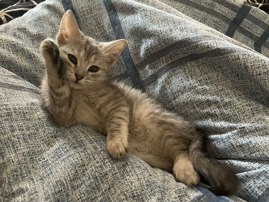 Лучшая девочка на свете