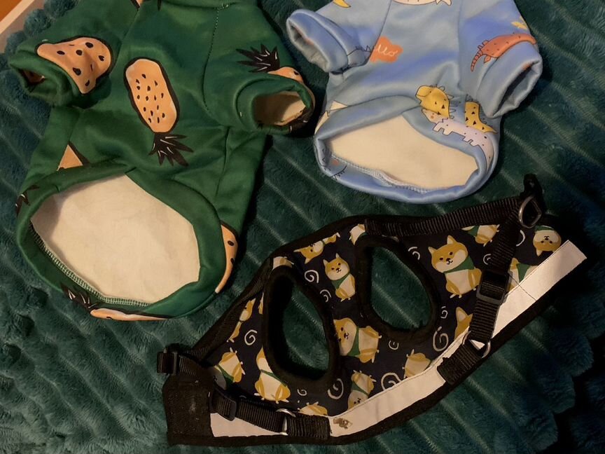 Вещи для собак