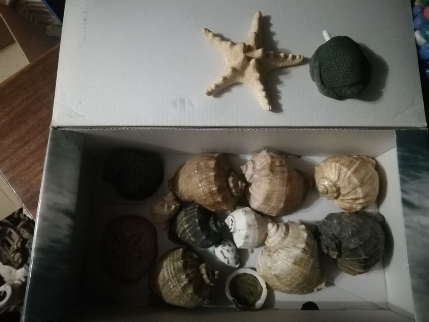 Камушки, ракушки, фильтры, подогрев воды