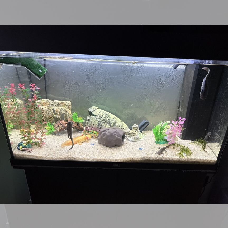 Немецкий аквариум на 125 литров