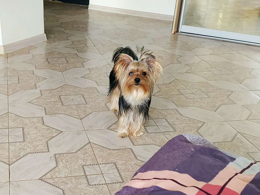 Мальчик для вязок