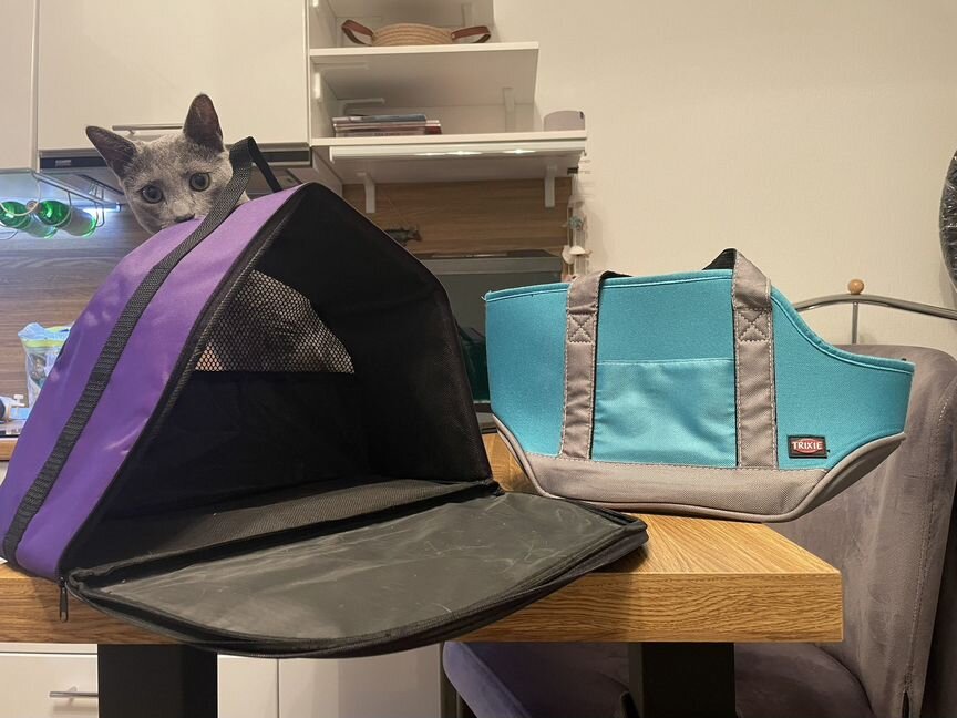 Переноска для кошек/собак бу