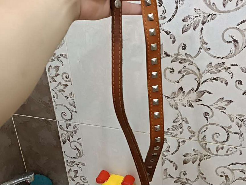 Ошейник для собак