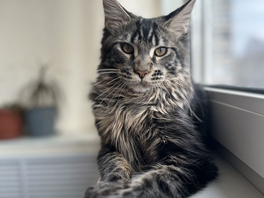 Мейкун вязка