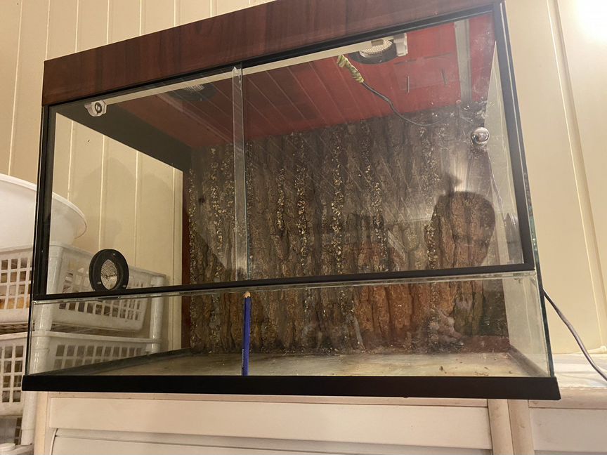 Террариум для рептилий