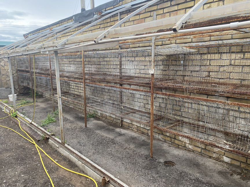 Клетка для кролика