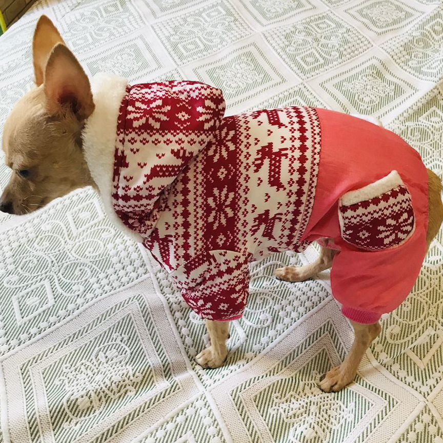 Зимняя курточка для собачки