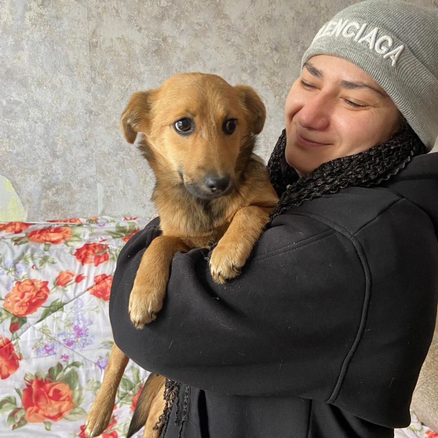 Щенулька для вас