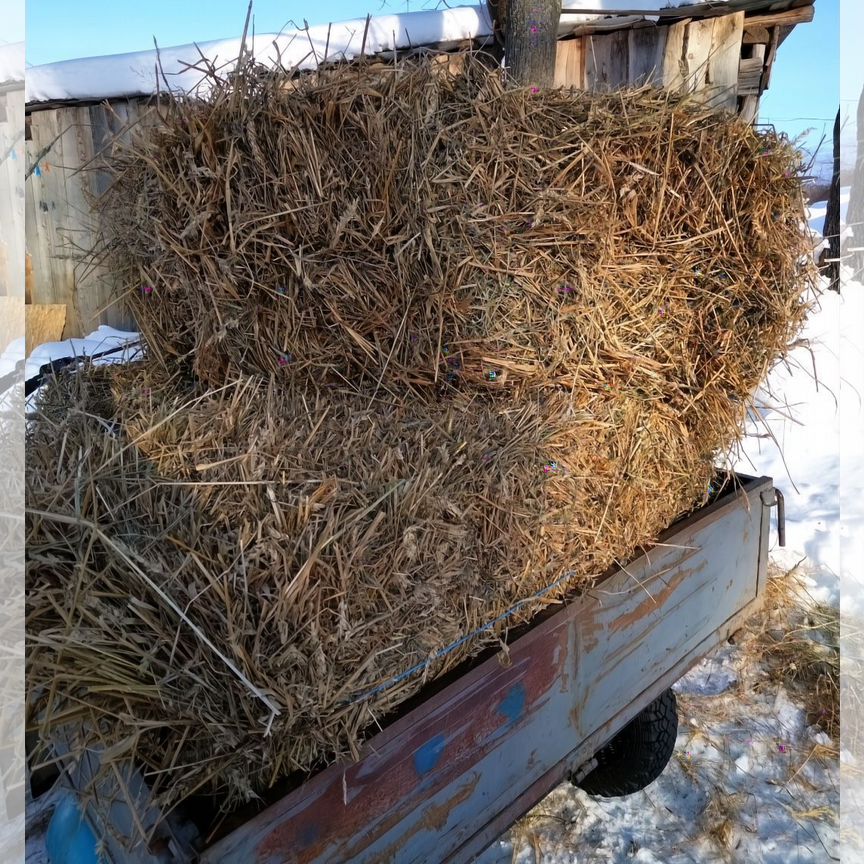 Солома в тюках