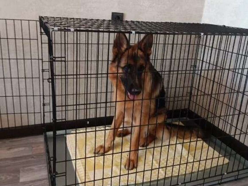 Клетка для собак