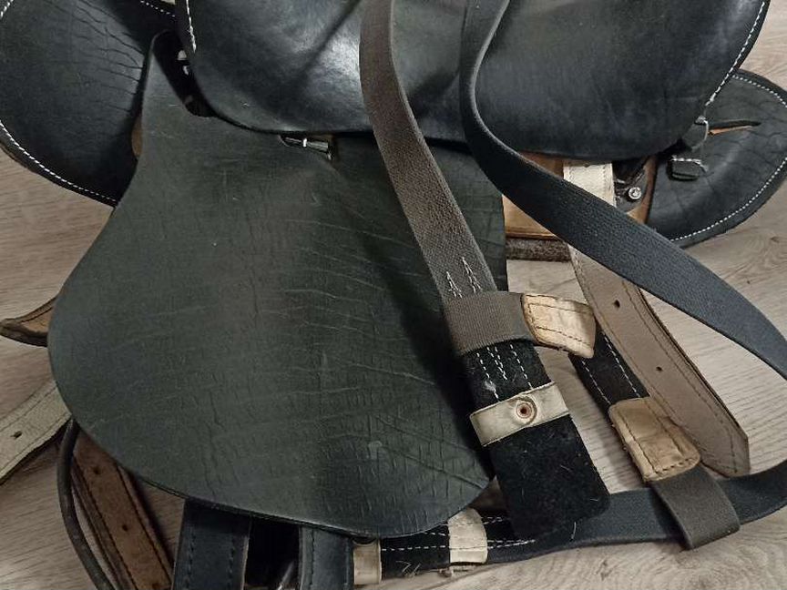 Рысистая упряжь