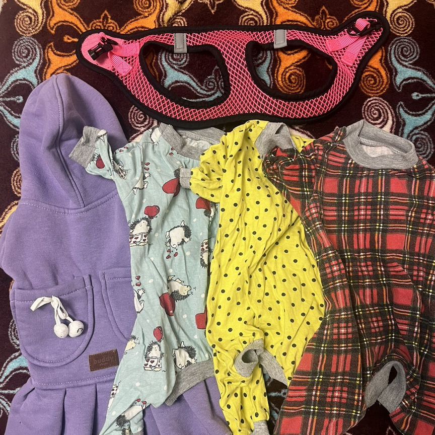 Одежда для собак мелких пород пакетом