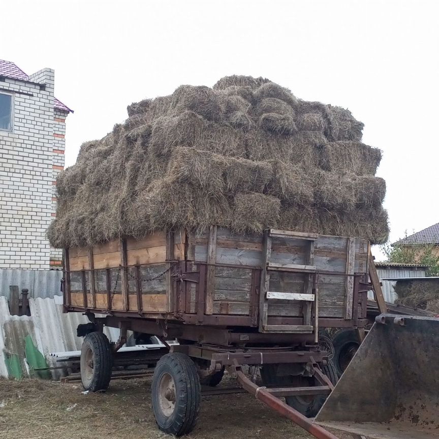Сено в тюках