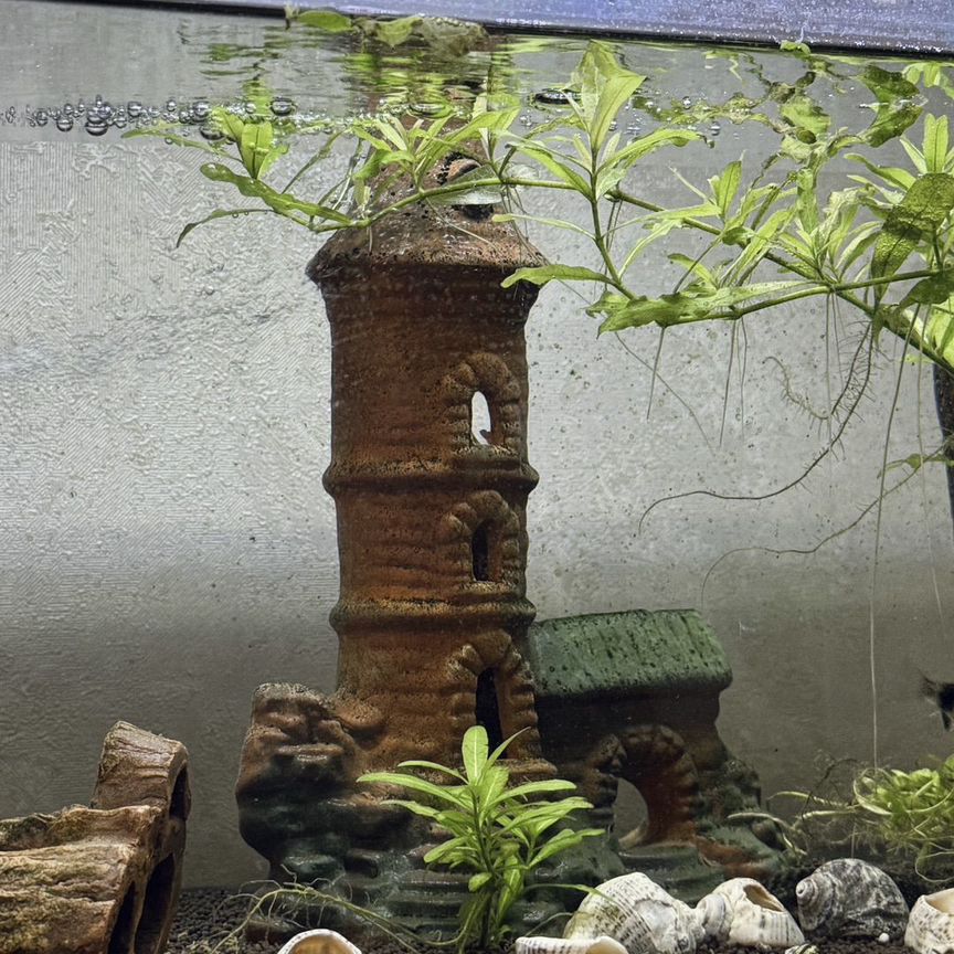 Аквариум с рыбками и декором