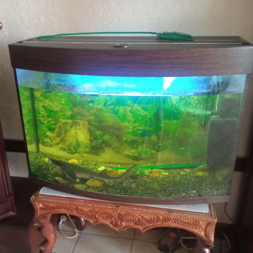 Аквариум 120 литров с рыбой