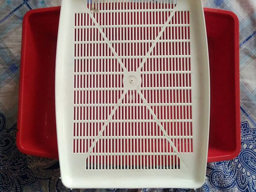 Лоток для кошек большой