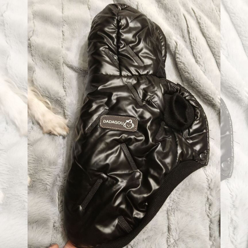 Одежда для собак