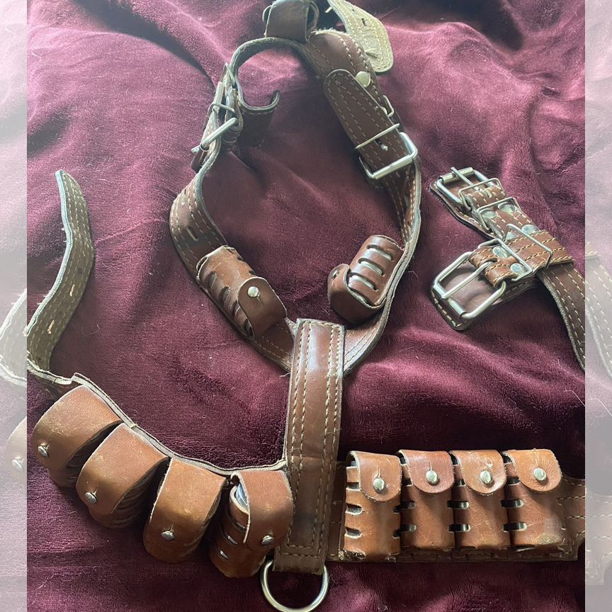 Шлейка с грузами